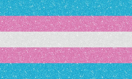 Trans Pride Social - Bristol Pride